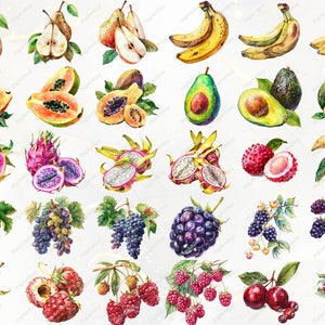 Summer Clipart Watercolor Summer PNG Fruit Clipart Summer Fruit PNG ...