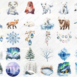 Arctic Animal Clipart Watercolor Winter Animal PNG Polar Animals Wild ...