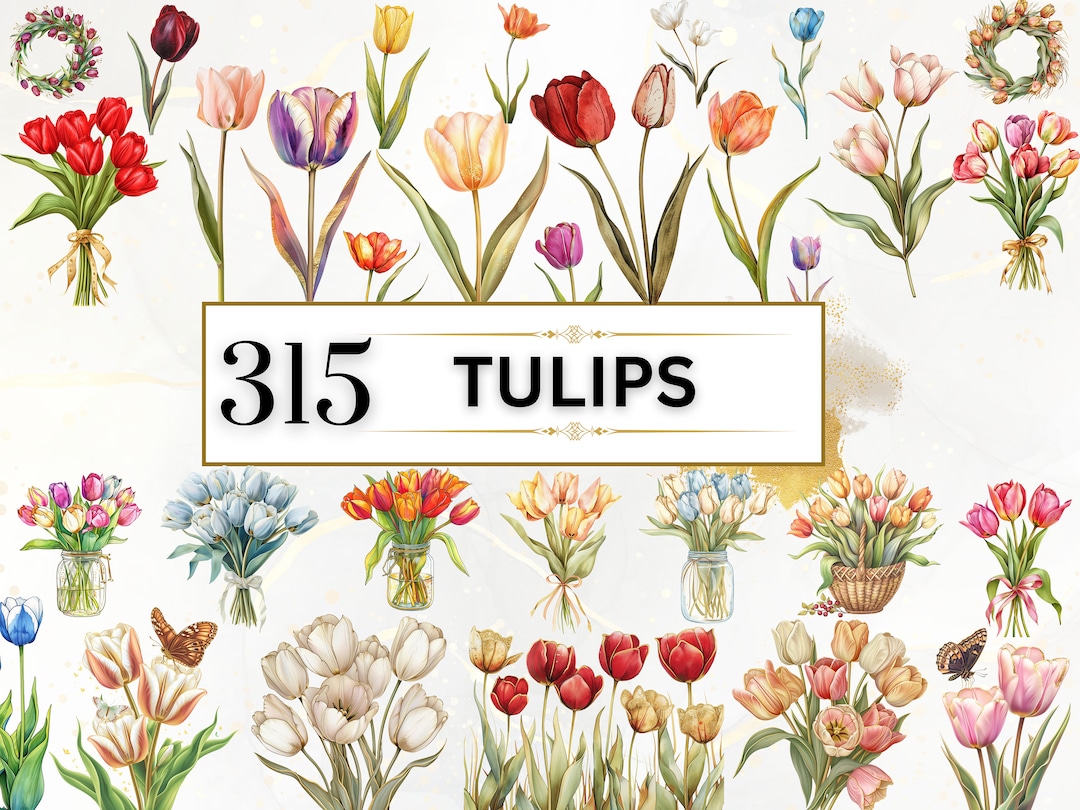 Tulip Clipart Watercolor Flower Clipart Spring PNG Floral Clipart Wild ...