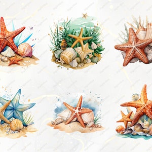 Sea Animals Clipart Bundle - 86 Starfish Clipart, Under the Sea PNG ...