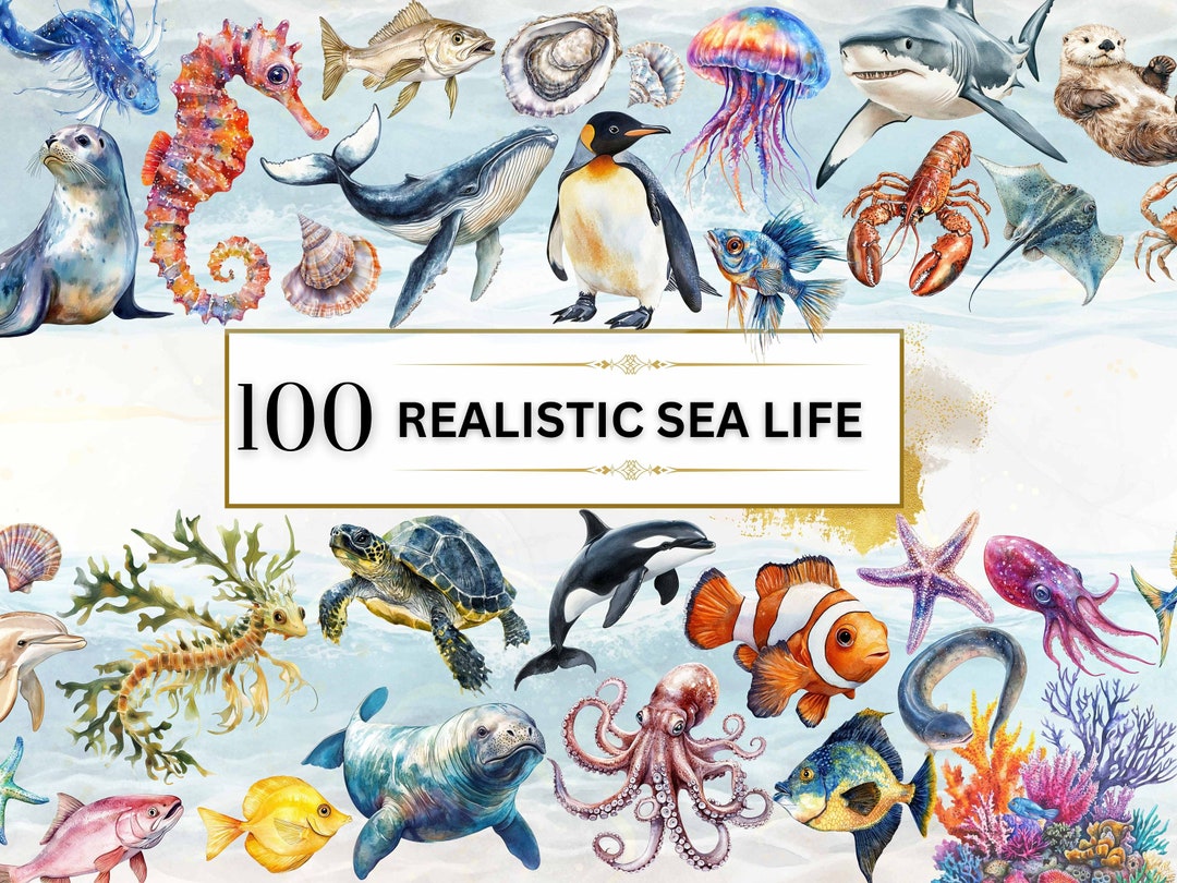 Watercolor Sea Animal Clipart Realistic Sea Animals PNG Under the Sea ...
