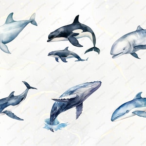 Whale Clipart Watercolor Whales PNG, Under the Sea PNG Cute Sea Animals ...