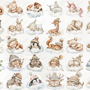 Cute Animal Clipart Watercolor Animal PNG Woodland Animal Clipart Cute ...