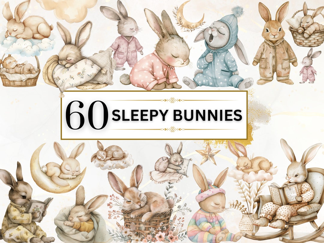 Rabbit Clipart Watercolor Bunny Clipart Sleeping Bunny PNG Animal ...