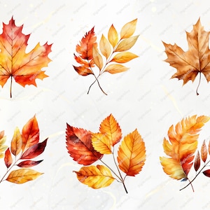 Watercolor Autumn Leaves Bundle - 124 Leaves Clipart Pngs, Fall ...