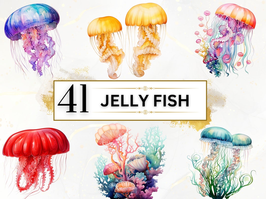 Jelly Fish Clipart - 41 Under the Sea PNG, Cute Sea Animals Clipart ...