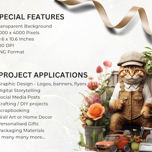 Working Cats PNG Bundle - 145 Cats Clipart Pngs, Cats Clipart, Animals ...