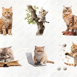 Ultra Realistic Cats PNG Bundle - 36 Cats Clipart Pngs, Cats Clipart ...
