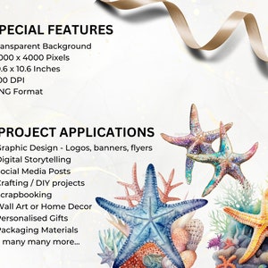 Sea Animals Clipart Bundle - 86 Starfish Clipart, Under the Sea PNG ...
