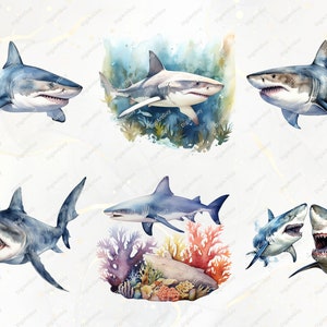 Shark Clipart - 58 Sharks Clipart, Baby Shark PNG, Cute Shark PNG, Cute ...