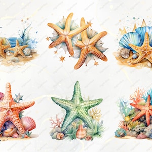Sea Animals Clipart Bundle - 86 Starfish Clipart, Under the Sea PNG ...