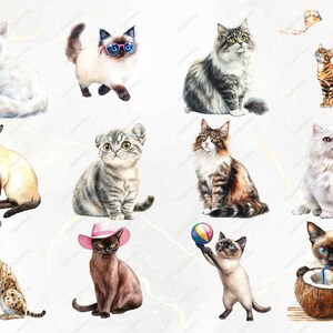 Summer Cat PNG Cat Breeds PNG Bundle Tropical Summer Clipart Watercolor ...