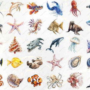 Watercolor Sea Animal Clipart Realistic Sea Animals PNG Under the Sea ...
