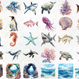 Watercolor Sea Animal Clipart Realistic Sea Animals PNG Under the Sea ...