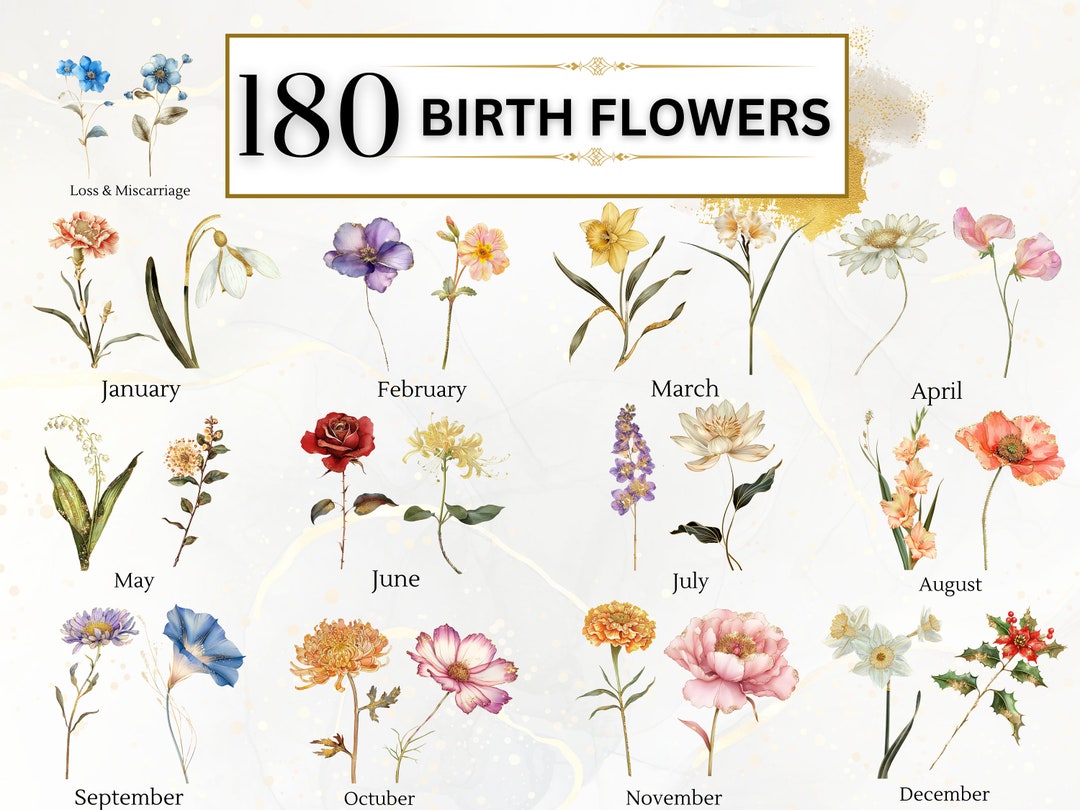Birth Flower Clipart Birth Month Flower PNG Floral Clipart Spring PNG ...