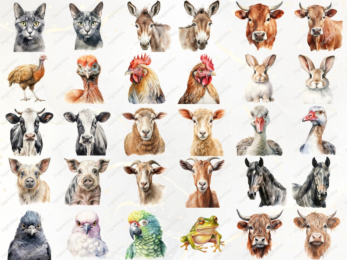 Farm Clipart Watercolor Farm Animals PNG Farm Animal Portrait Clipart ...