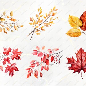 Watercolor Autumn Leaves Bundle - 124 Leaves Clipart Pngs, Fall ...
