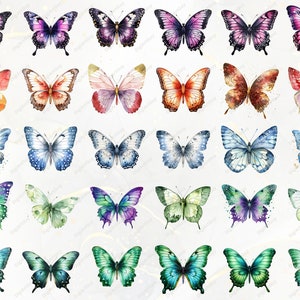 Watercolor Butterflies Clipart Watercolor Butterfly PNG Colorful ...