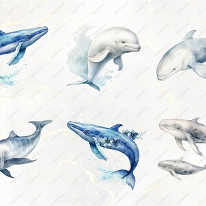 Whale Clipart Watercolor Whales PNG, Under the Sea PNG Cute Sea Animals ...