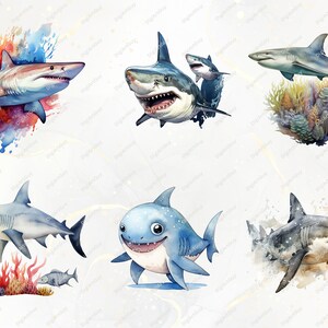 Shark Clipart - 58 Sharks Clipart, Baby Shark PNG, Cute Shark PNG, Cute ...