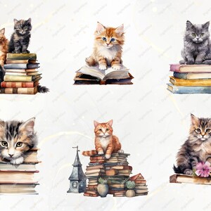 Book Cats PNG Bundle - 55 Cats Clipart Pngs, Cats Clipart, Animals ...