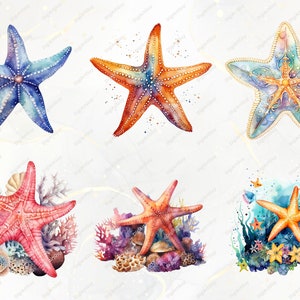 Sea Animals Clipart Bundle - 86 Starfish Clipart, Under the Sea PNG ...