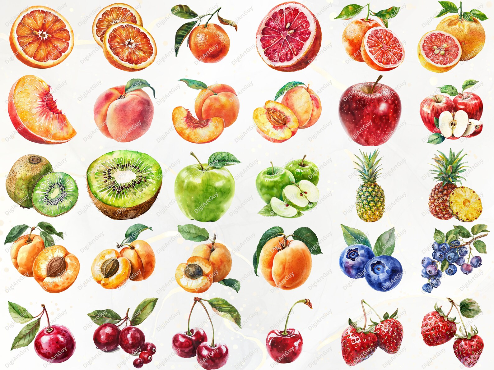 Summer Clipart Watercolor Summer PNG Fruit Clipart Summer Fruit PNG ...