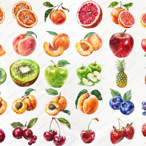 Summer Clipart Watercolor Summer PNG Fruit Clipart Summer Fruit PNG ...