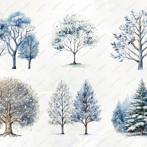 Trees Clipart Bundle - 60 Watercolor Winter Clipart Pngs, Winter PNG, Watercolor Trees Clipart ...