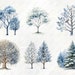 Trees Clipart Bundle 60 Watercolor Winter Clipart Pngs, Winter PNG ...