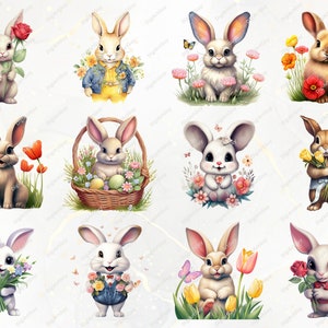 Floral Bunny Clipart Cute Rabbit PNG Animal Clipart Cute Bunny PNG ...