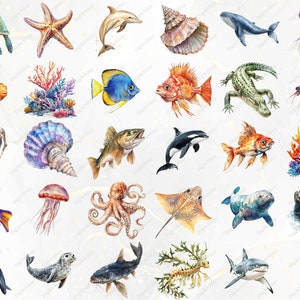 Watercolor Sea Animal Clipart Realistic Sea Animals PNG Under the Sea ...