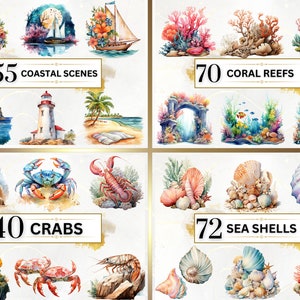 Sea Animals Clipart Bundle - 1200 Under the Sea Pngs, Cute Sea Animals ...
