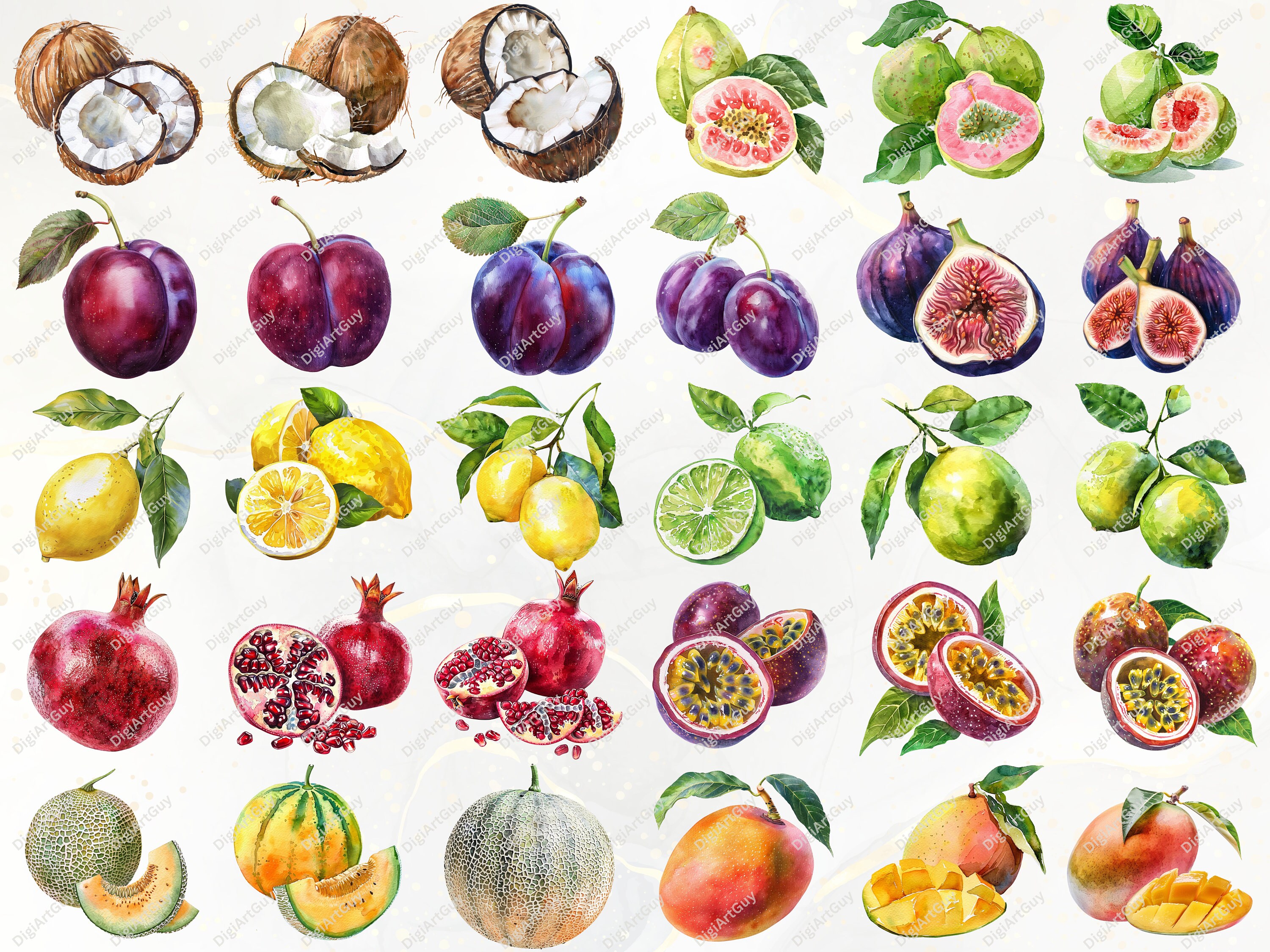 Summer Clipart Watercolor Summer PNG Fruit Clipart Summer Fruit PNG ...