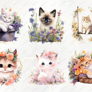 Floral Cats PNG Bundle - 43 Cats Clipart Pngs, Cats Clipart, Animals ...