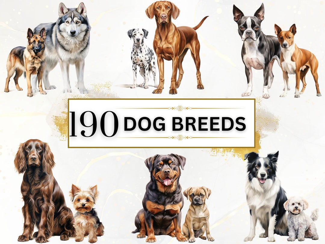 Dog Clipart Bundle - 190 Watercolor Dogs Clipart PNG, Dog Breeds PNG ...