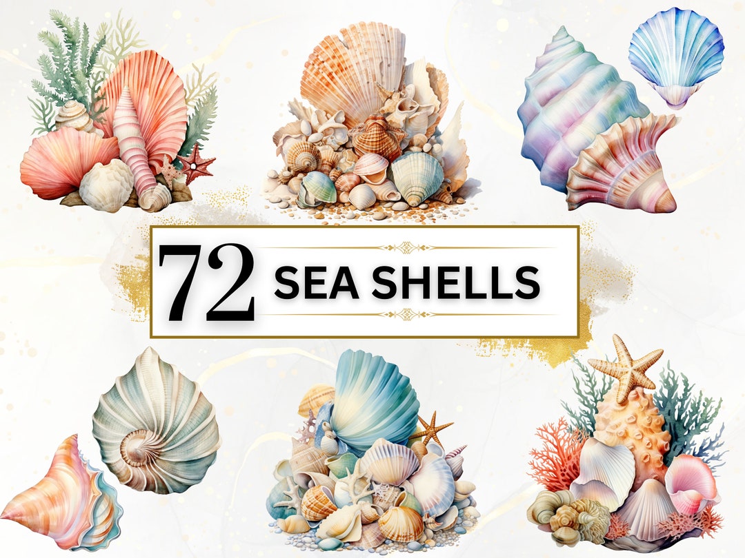 Seashell Clipart - 72 Seashells PNG, Under the Sea PNG Beach Shell ...