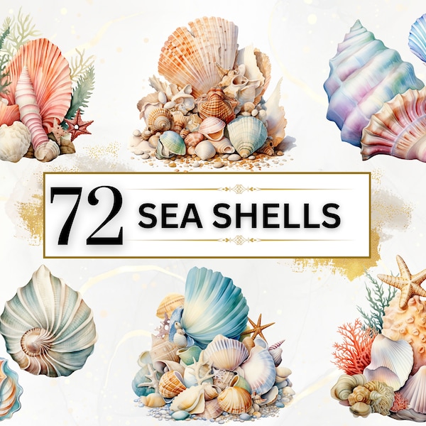 Sea Shell Stencils - Etsy