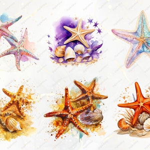 Sea Animals Clipart Bundle - 86 Starfish Clipart, Under the Sea PNG ...