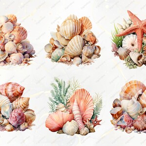 Seashell Clipart - 72 Seashells PNG, Under the Sea PNG Beach Shell ...