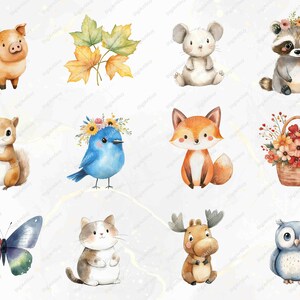 Cute Woodland Clipart Cute Woodland Animal PNG Watercolor Woodland ...