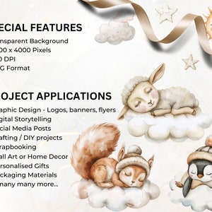 Cute Animal Clipart Watercolor Animal PNG Woodland Animal Clipart Cute ...