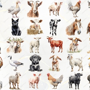Farm Clipart Watercolor Farm Animals PNG Farm Animal Clipart Cute Farm ...