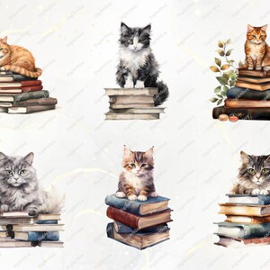 Book Cats PNG Bundle - 55 Cats Clipart Pngs, Cats Clipart, Animals ...