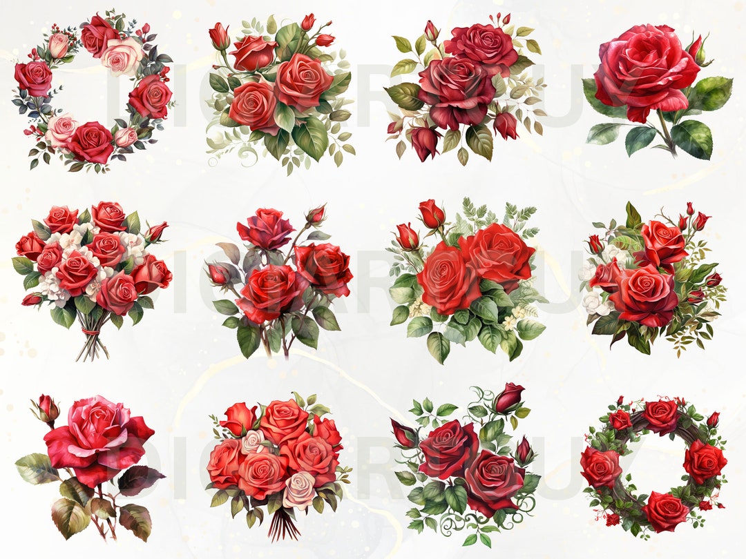 Watercolor Red Roses Clipart, Watercolor Rose, Watercolor Flowers ...