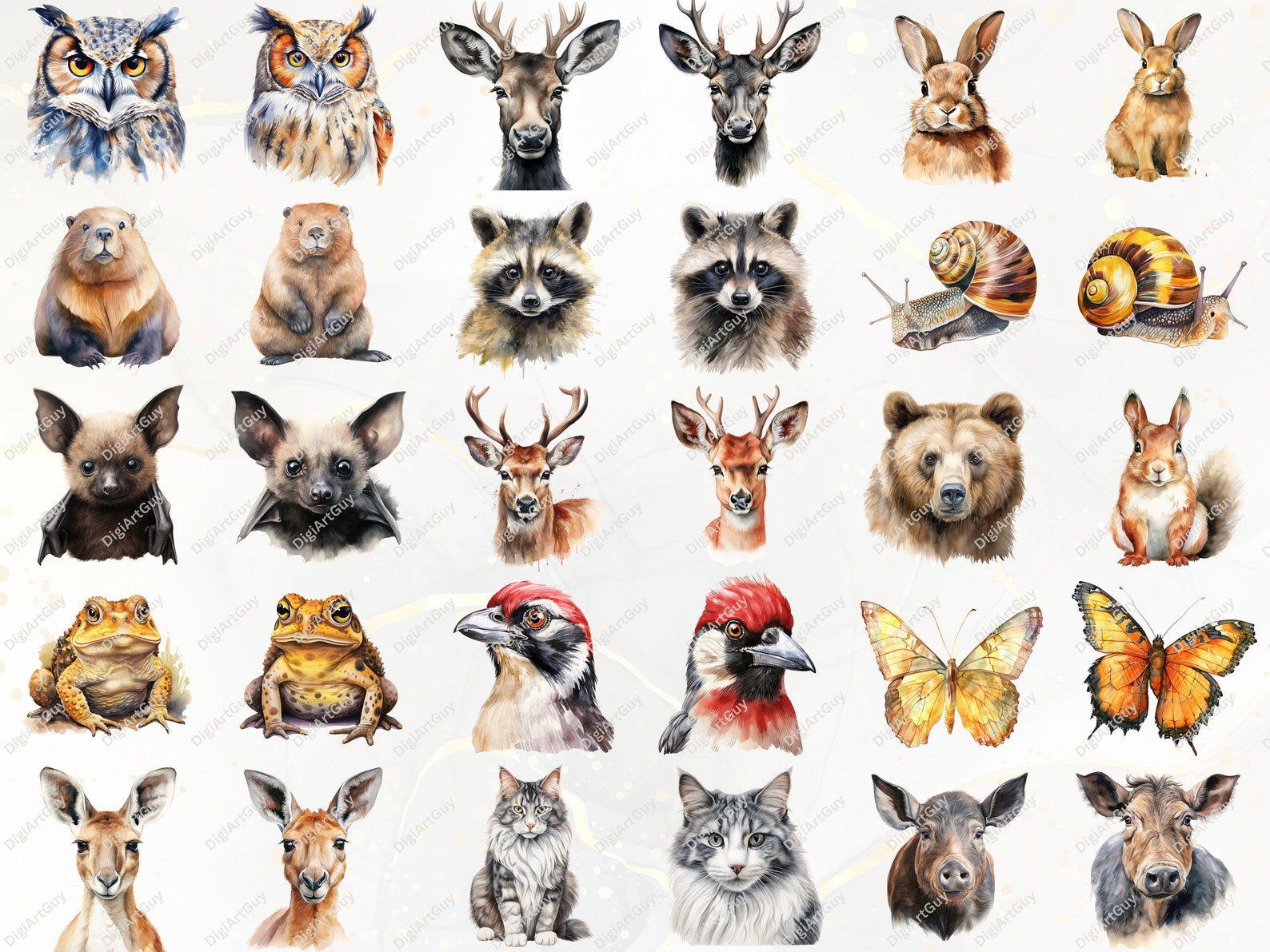 Woodland Clipart Watercolor Woodland Animals Clipart Animal Portraits ...