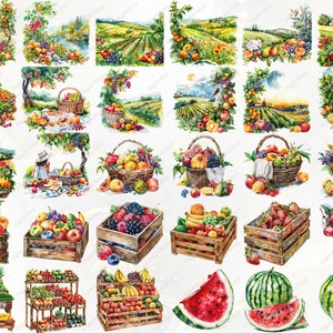 Summer Clipart Watercolor Summer PNG Fruit Clipart Summer Fruit PNG ...