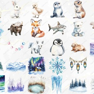 Arctic Animal Clipart Watercolor Winter Animal PNG Polar Animals Wild ...