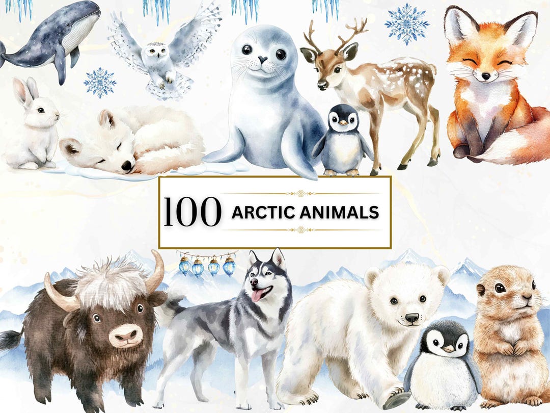 Arctic Animal Clipart Watercolor Winter Animal PNG Polar Animals Wild ...
