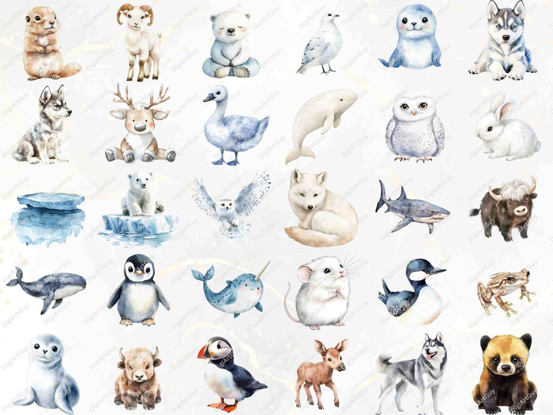 Arctic Animal Clipart Watercolor Winter Animal PNG Polar Animals Wild ...
